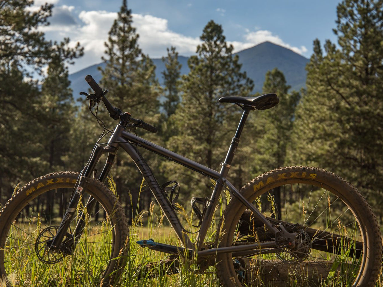 Voodoo Cycles Zocalo: Titanium Mountain Bike